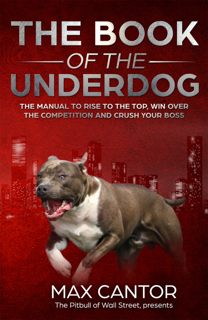 The Book of the Underdog: The Best Personal Success Book